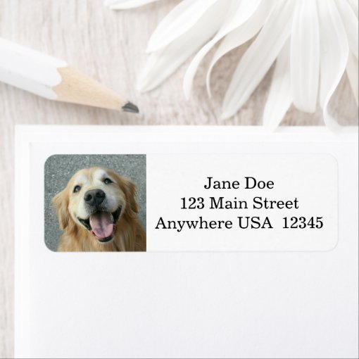 Smiling Golden Retriever Label | Zazzle