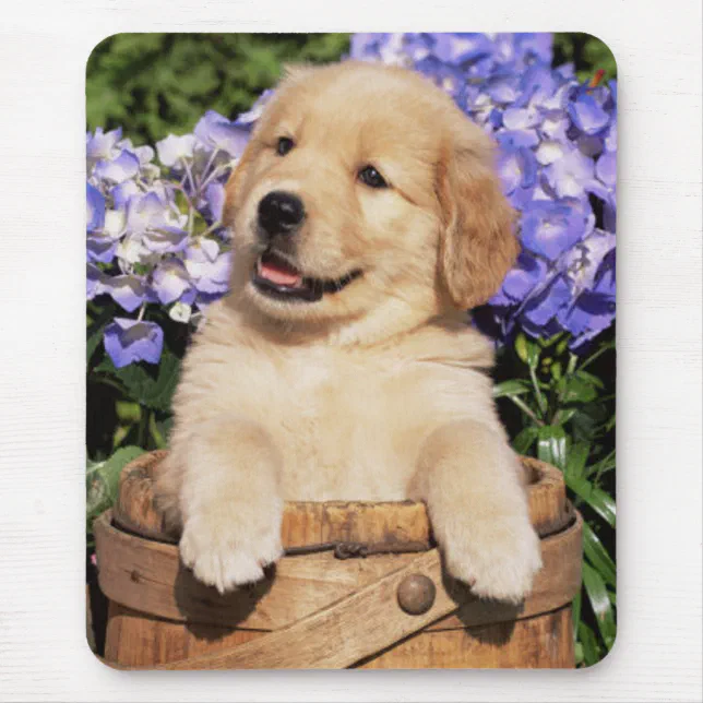 Smiling Golden Retriever Puppy Dog Mouse Pad | Zazzle