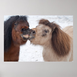 Smiling Horses Poster | Zazzle