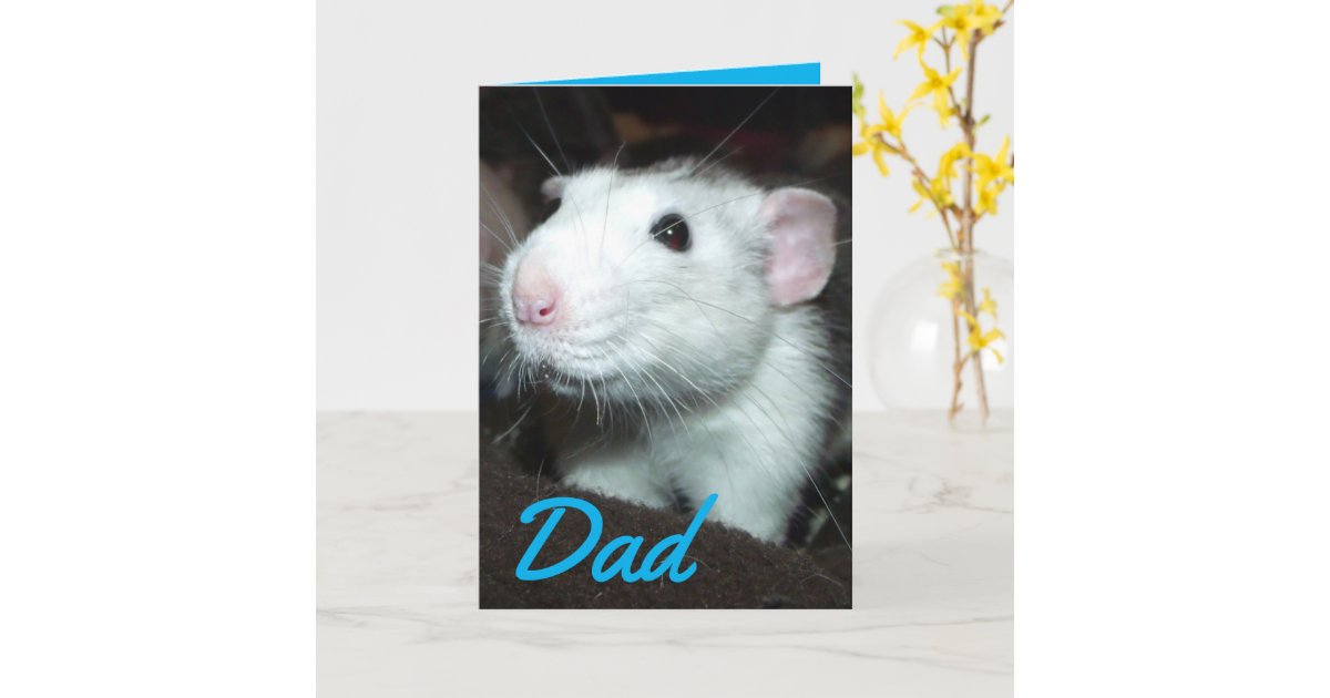 Smiling rat Father's Day Card | Zazzle