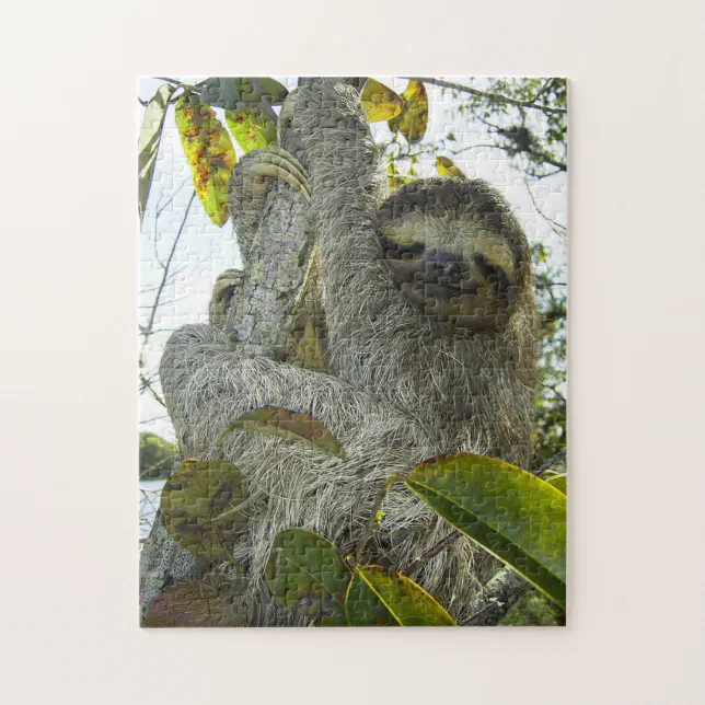 Smiling Sloth Puzzle with Gift Box | Zazzle