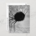 Smiling Spider by Odilon Redon, Vintage Halloween Postcard | Zazzle