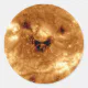 Smiling Sun From NASA Solar Observatory Classic Round Sticker | Zazzle