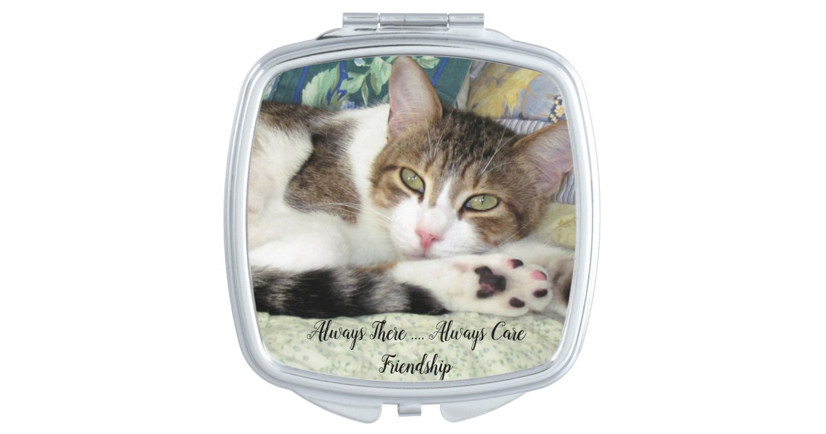 Smirnoff the Cat's Friendship - Compact Mirror | Zazzle