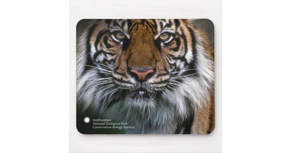 Smithsonian | Sumatran Tiger Soyono Mouse Pad | Zazzle