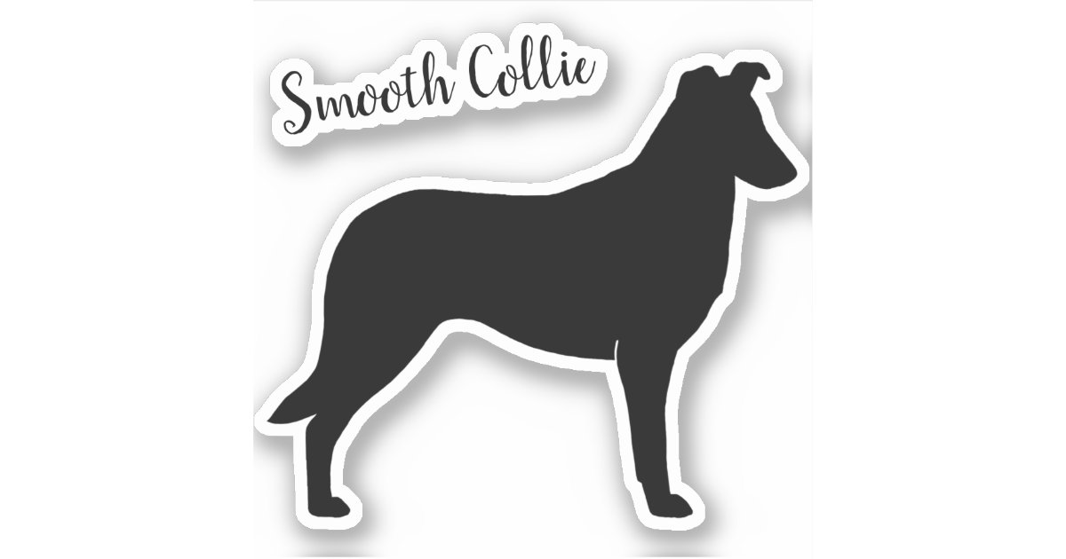 Smooth Collie Silhouette Dog Breed Vinyl Sticker | Zazzle