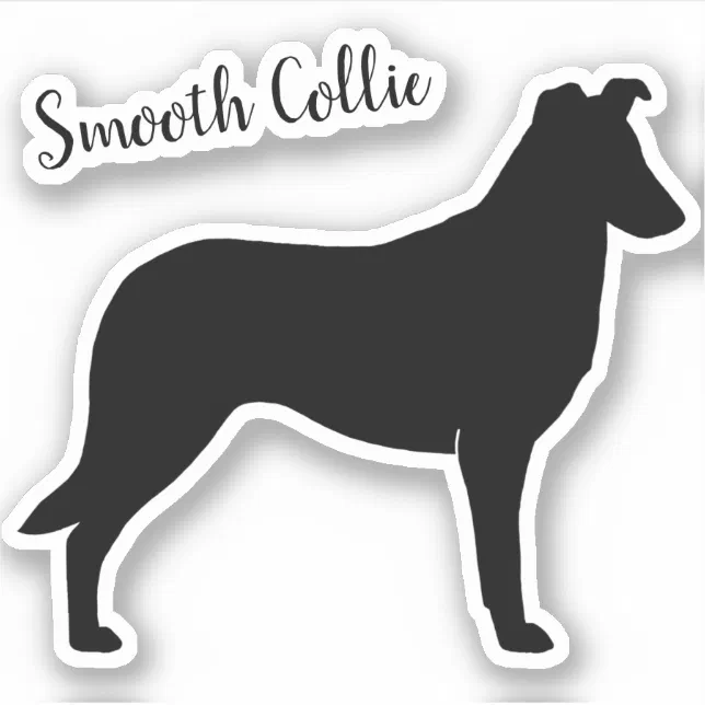 Smooth Collie Silhouette Dog Breed Vinyl Sticker | Zazzle