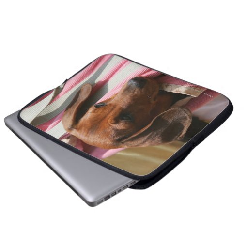 Smooth-haired Miniature Dachshund Puppy Laptop Sleeve | Zazzle
