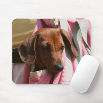 Smooth-haired Miniature Dachshund Puppy Mouse Pad | Zazzle