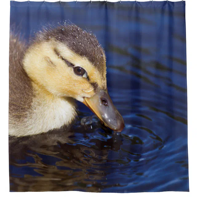 Smug Smile Shower Curtain | Zazzle