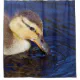 Smug Smile Shower Curtain | Zazzle