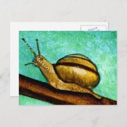 Snail 1 Postcard | Zazzle