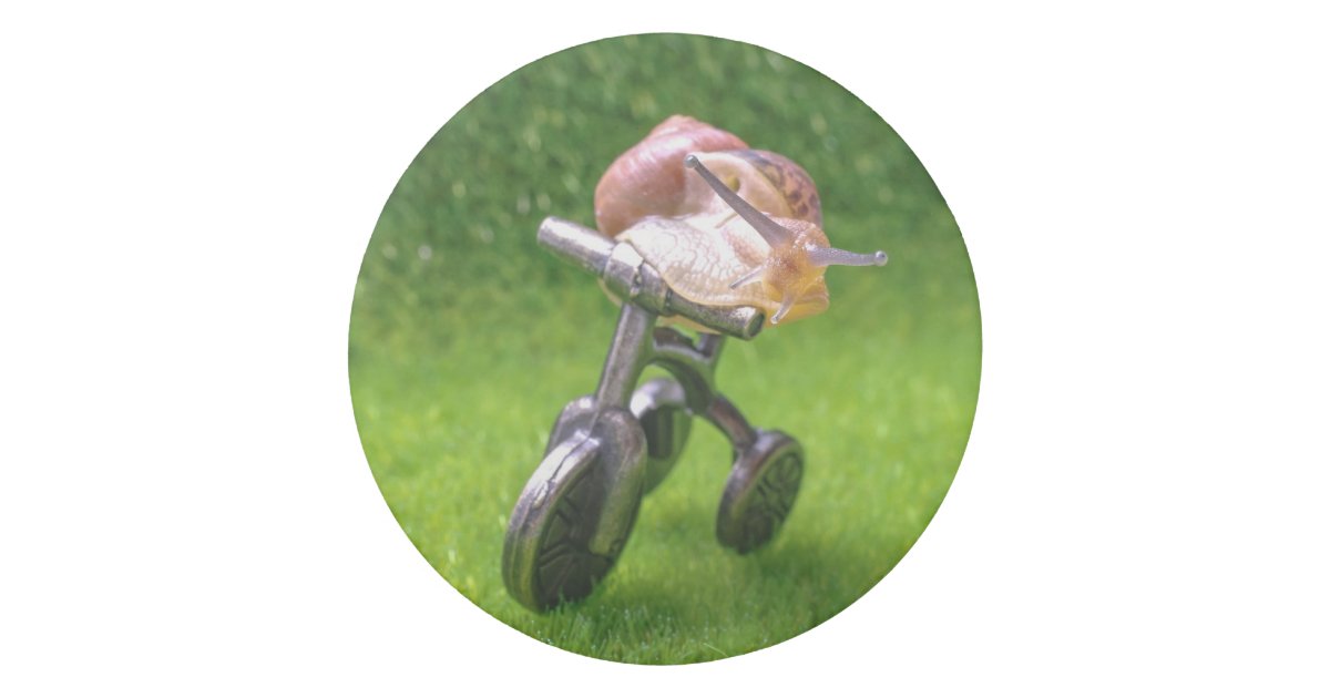 snail eraser | Zazzle