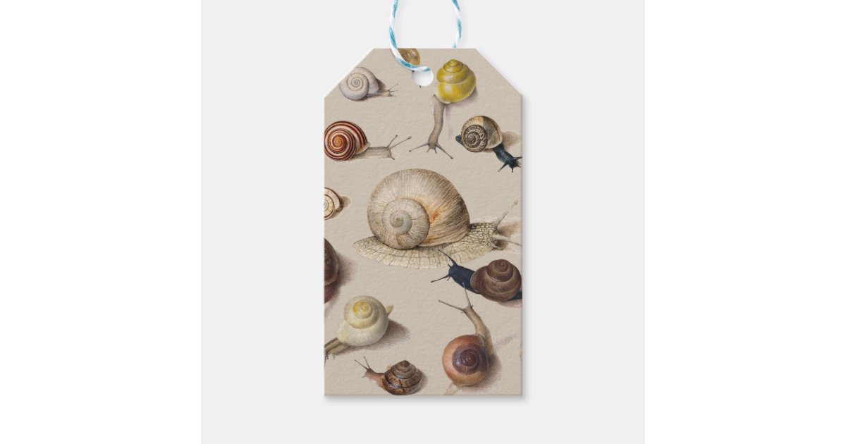 Snail Garden Pet Gastropod Slug Botanical Snails Gift Tags | Zazzle