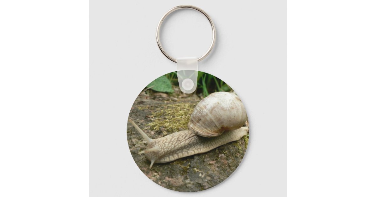Snail Keychain | Zazzle
