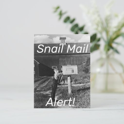 Snail Mail Alert Postcard | Zazzle