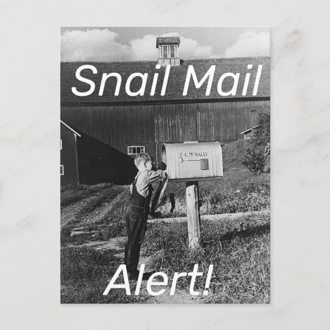 Snail Mail Alert Postcard | Zazzle
