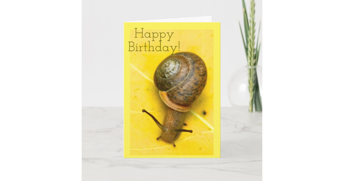 Snail mail card | Zazzle