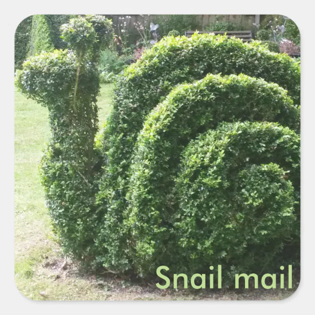 Snail mail. Fun topiary garden clipped green bush Square Sticker | Zazzle