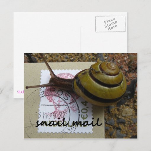 Snail mail postcard | Zazzle