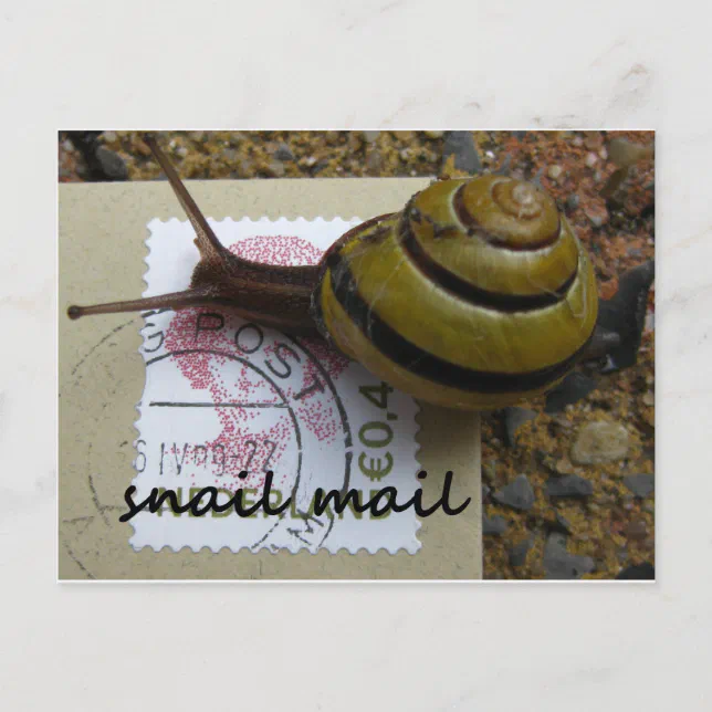 Snail mail postcard | Zazzle