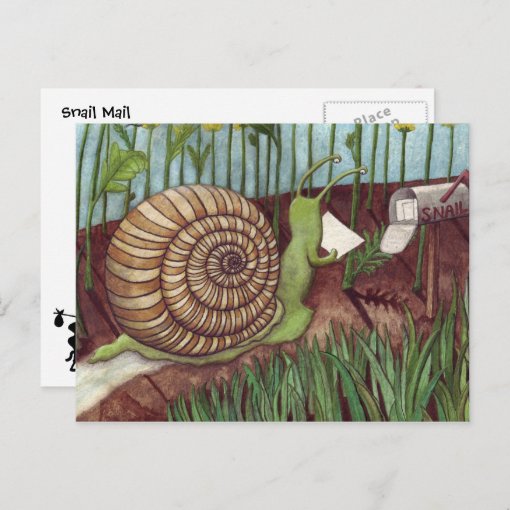 Snail Mail Postcard | Zazzle