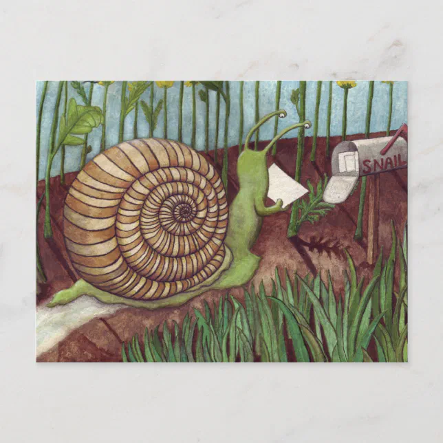 Snail Mail Postcard | Zazzle