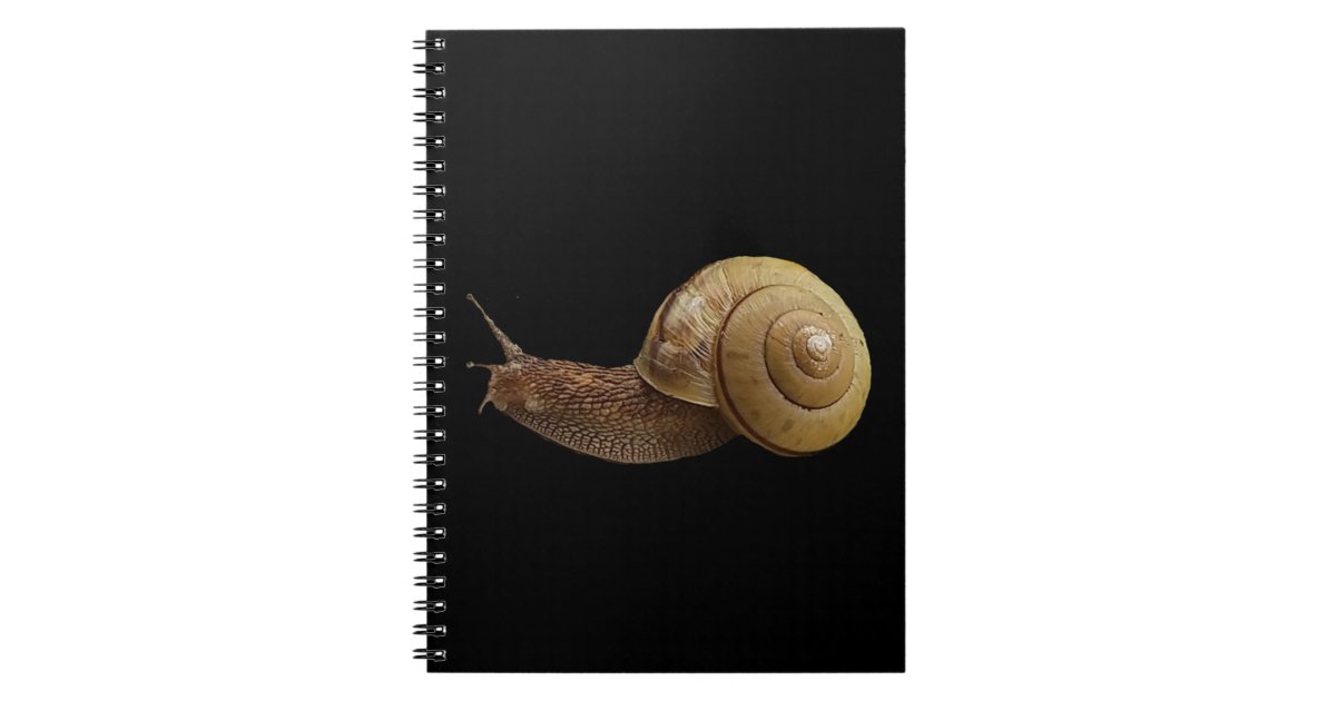 snail real photograph notebook | Zazzle