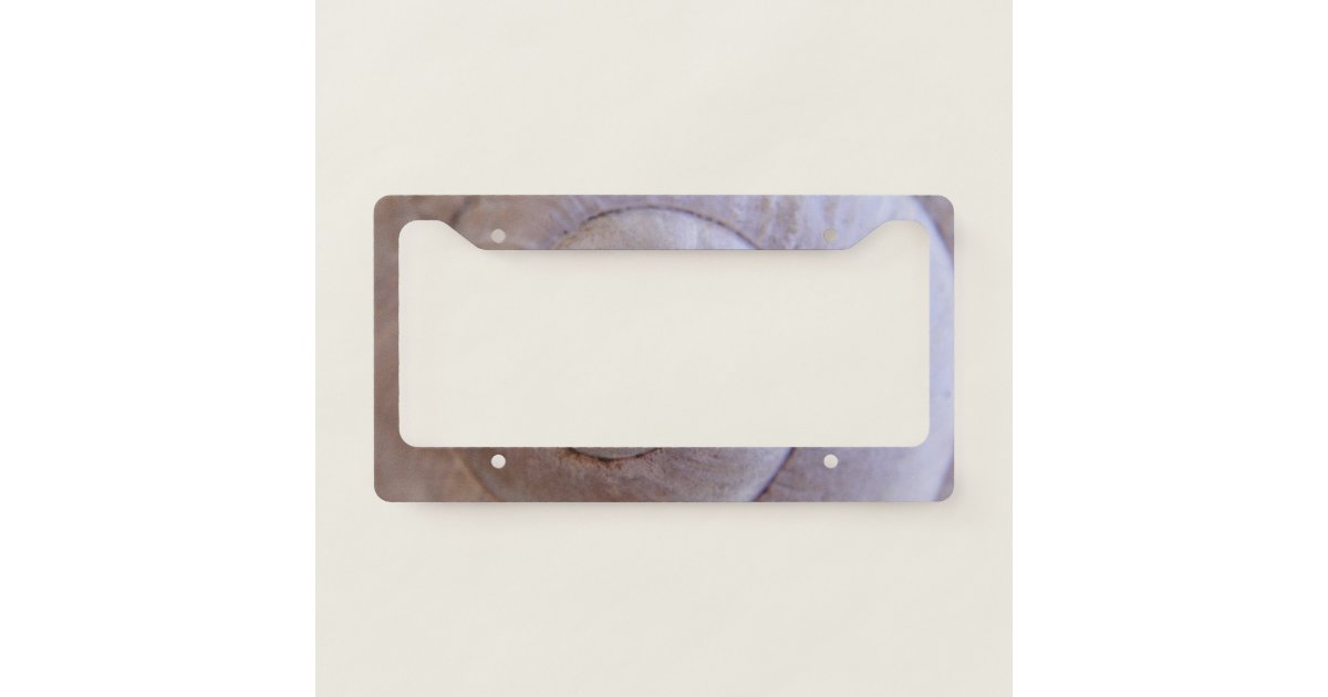 Snail shell license plate frame | Zazzle