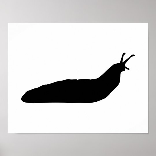 Snail slug poster | Zazzle.com