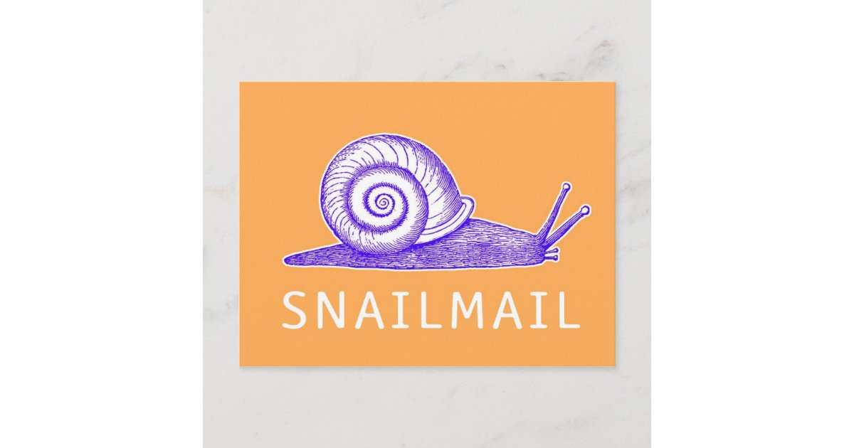 SnailMail Postcard | Zazzle