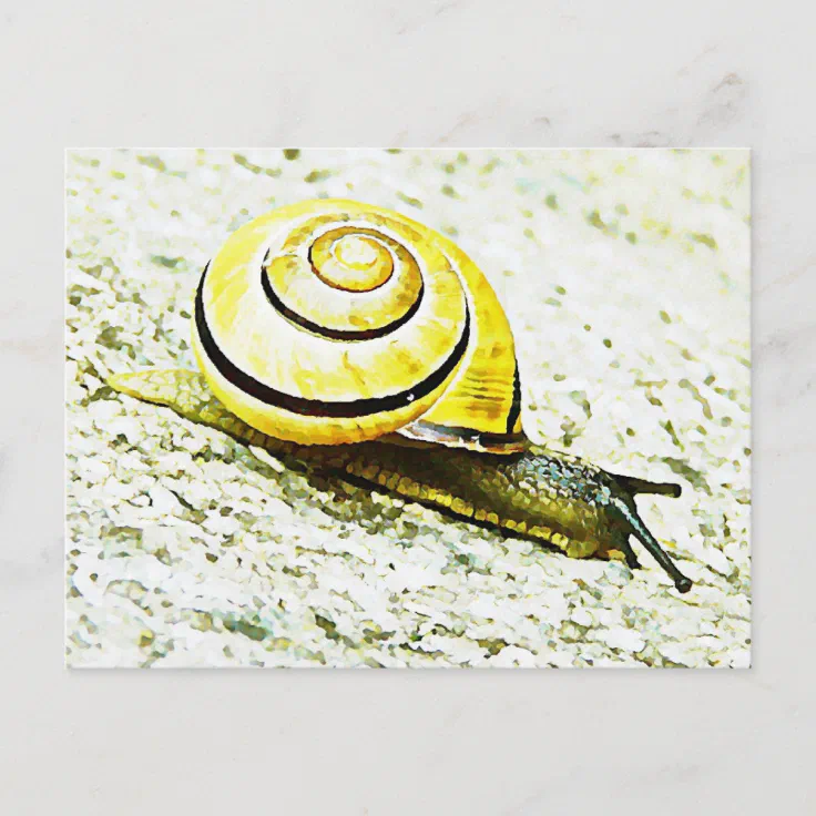 Snail's Pace Postcard | Zazzle