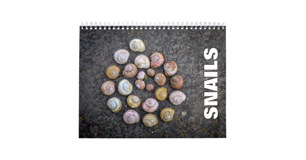 Snails Wall Calendar | Zazzle