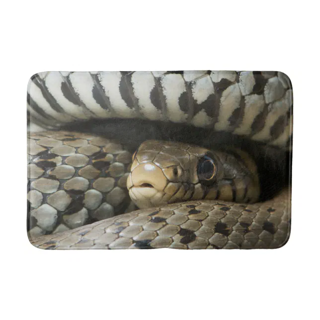 Snake Bath Mat | Zazzle