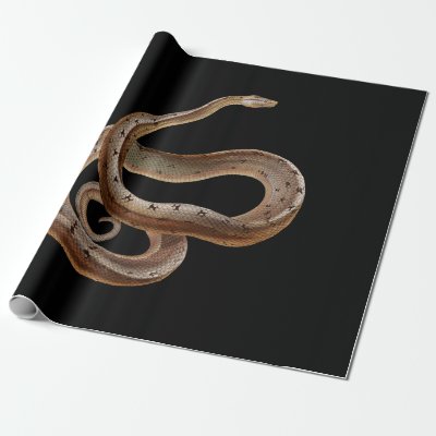 Snake Wrapping Paper