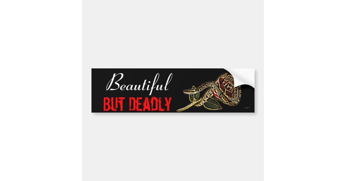 Snake bumper sticker python | Zazzle