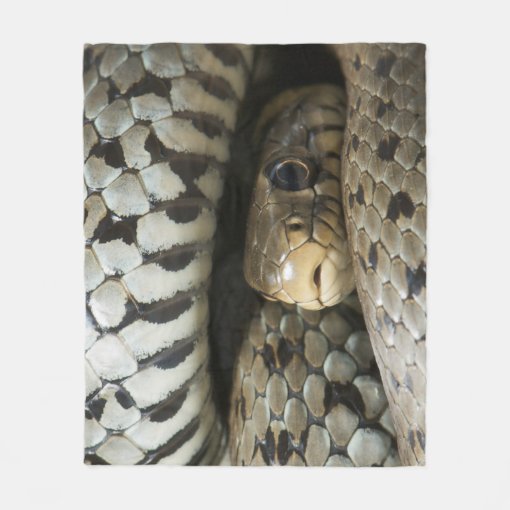 Snake Fleece Blanket | Zazzle