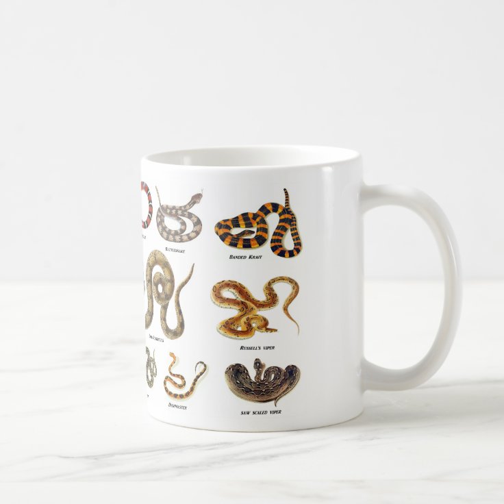 Snake Identification mug | Zazzle