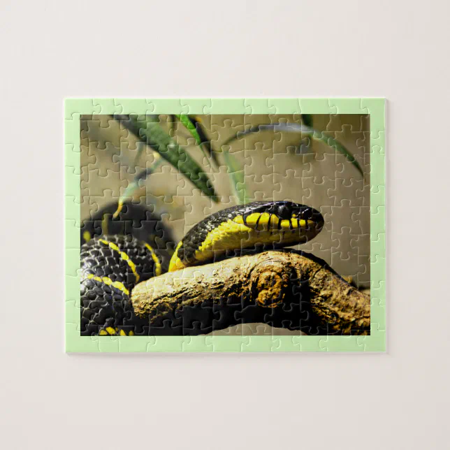 Snake Jigsaw Puzzle | Zazzle