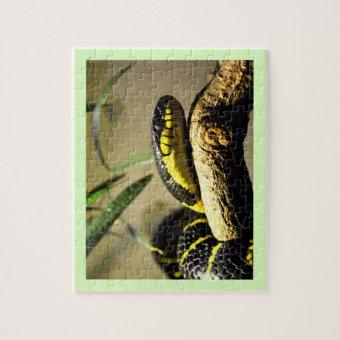 Snake Jigsaw Puzzle | Zazzle