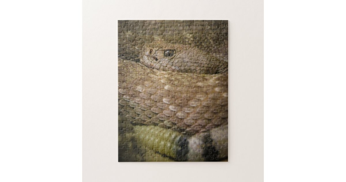 snake jigsaw puzzle | Zazzle