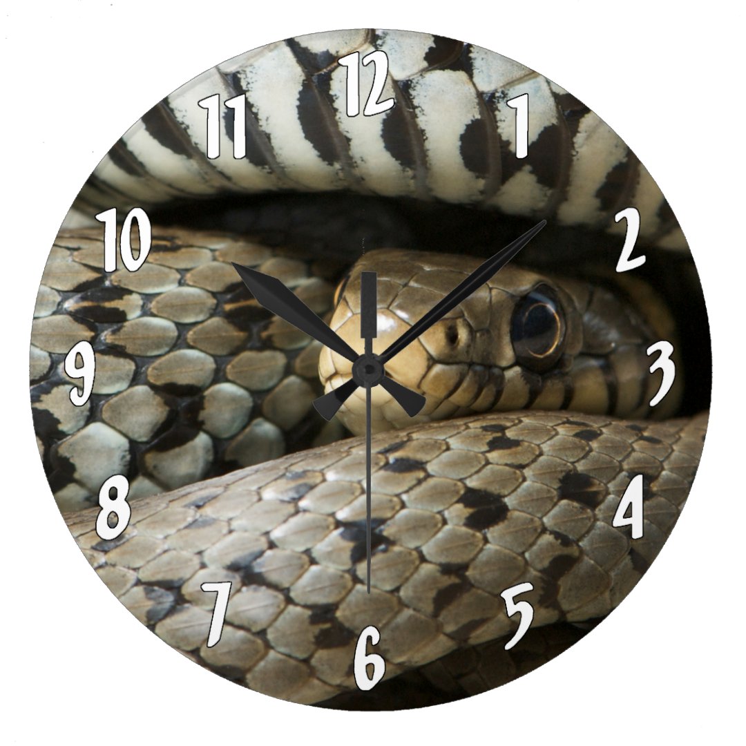 Snake Large Clock | Zazzle