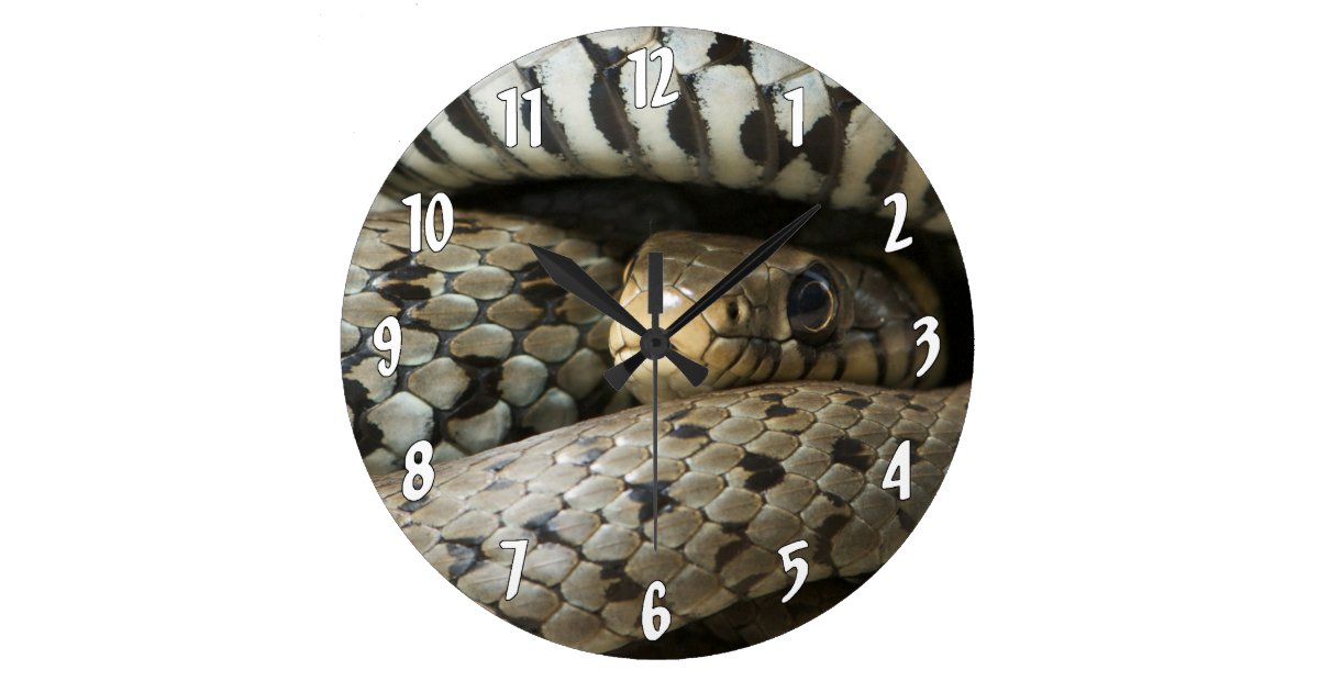 Snake Large Clock | Zazzle.com