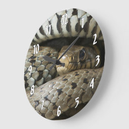 Snake Large Clock | Zazzle