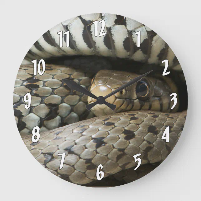 Snake Large Clock | Zazzle