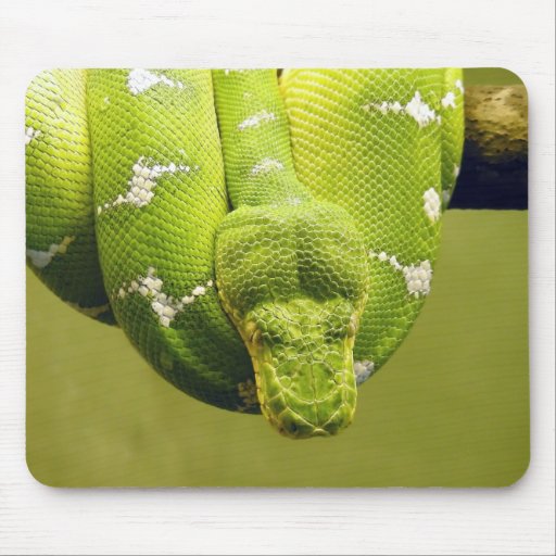 Snake Mouse Pad | Zazzle