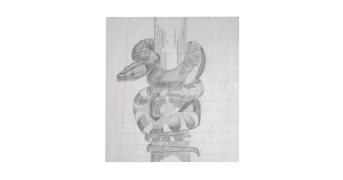 Snake Pencil Drawing Notepad | Zazzle