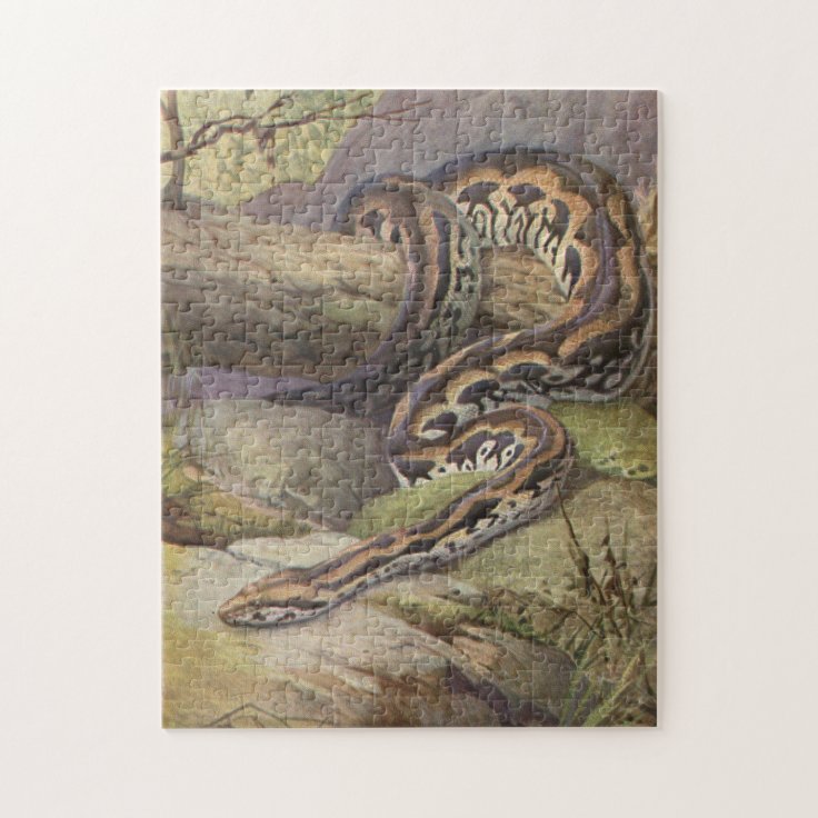 Snake Puzzle Illustration | Zazzle