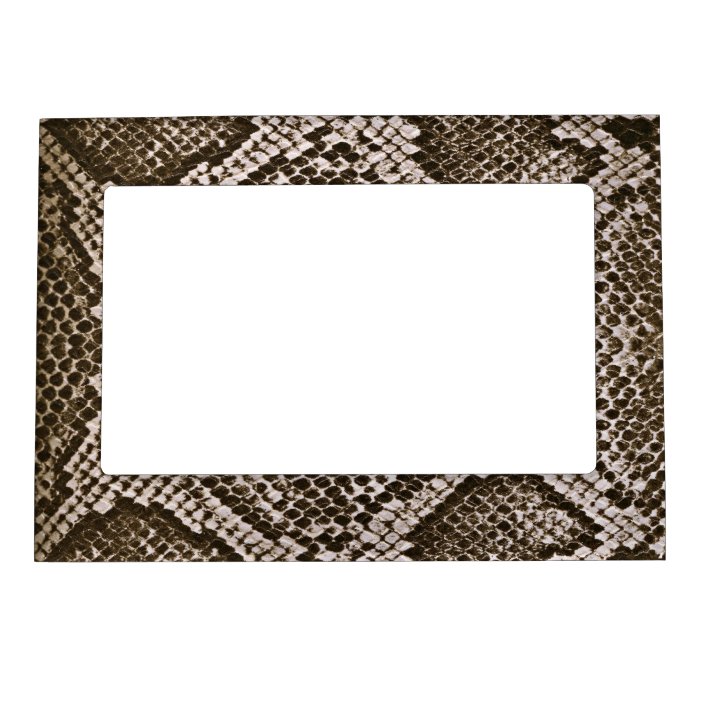 Snake skin magnetic photo frame | Zazzle.com