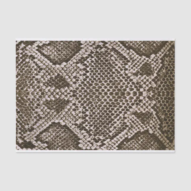 Snake skin tissue paper | Zazzle